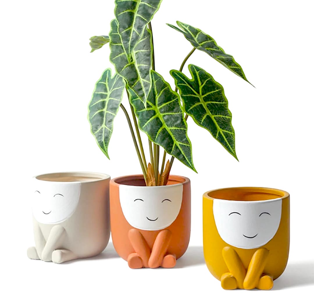 Planters – Coral Tree